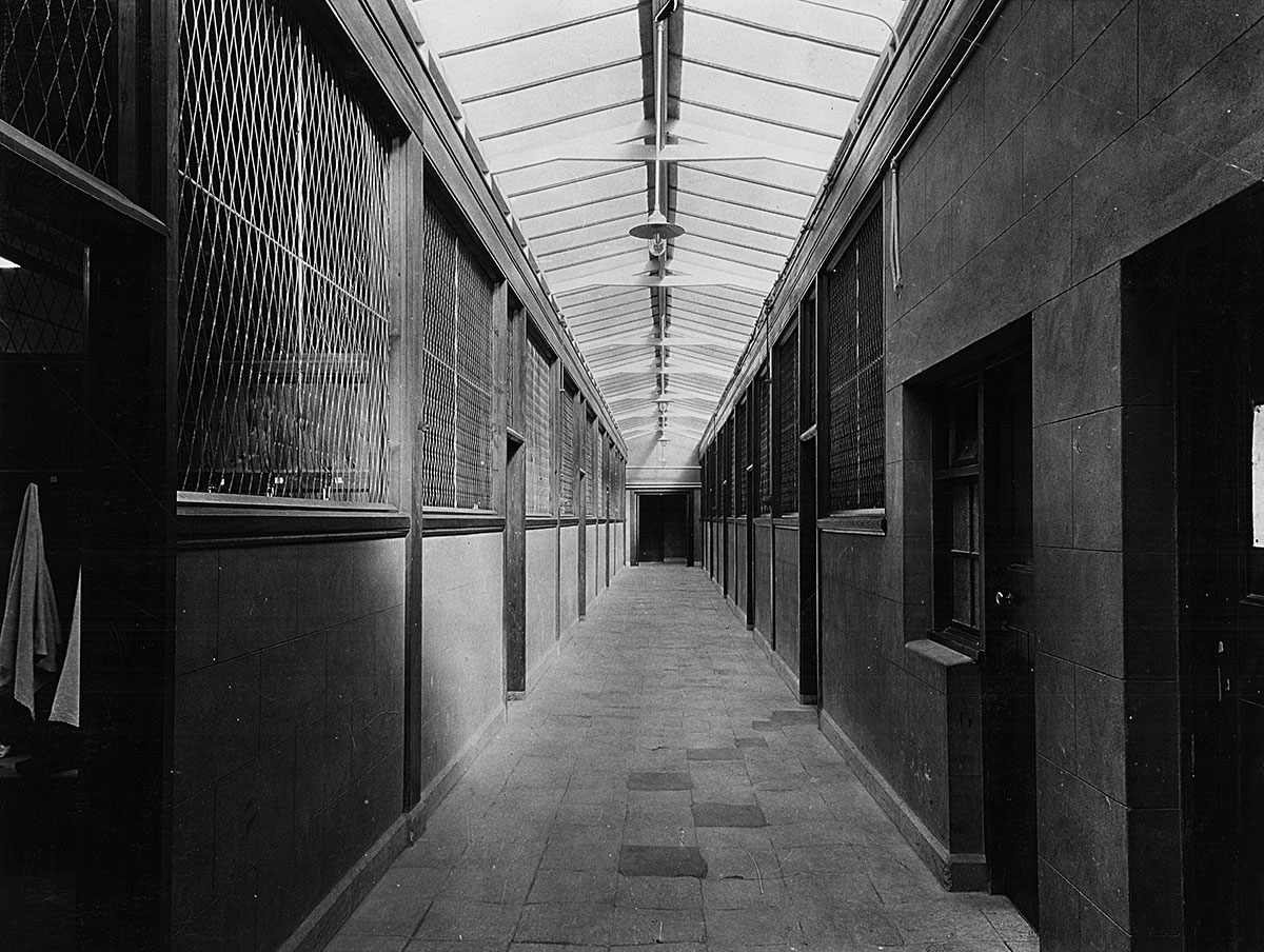 Living Conditions - The Wellington Community